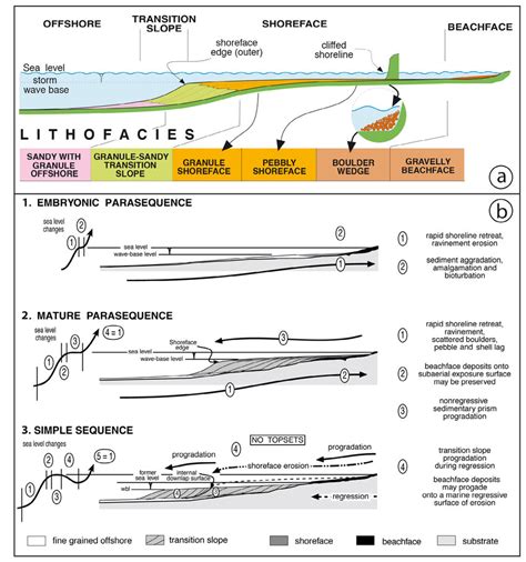 A Depositional System And Lithofacies Observed At Stop T322 Download Scientific Diagram