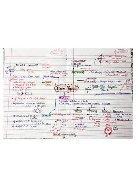Solution Biological Classification Mindmap Studypool