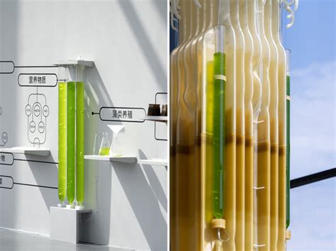 Treeone Branches Out To Take A Sculptural Approach To Clean Air