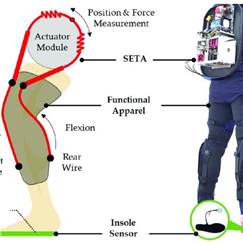 Design Concept Of Series Elastic Tendon Actuator Seta Download Scientific Diagram