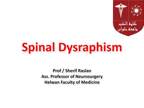 Solution 8 Spinal Disorders 3 Spinal Dysraphism Studypool