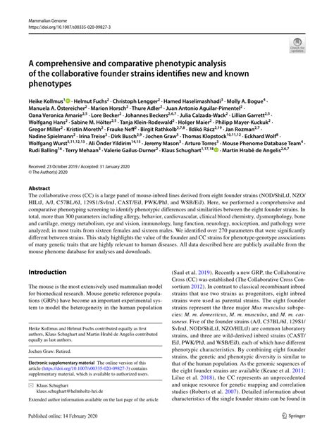 Pdf A Comprehensive And Comparative Phenotypic Analysis Of The