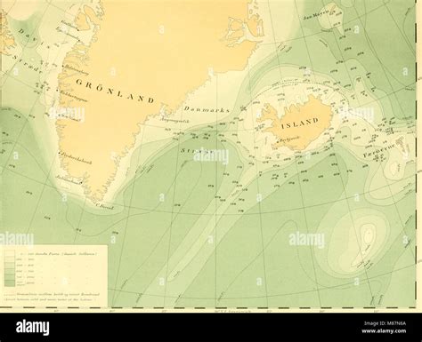 This 1903 Work Focuses On The Class Echinoidea Detailing The Biology