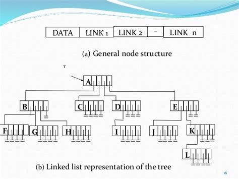 non linear data structure introduction of tree