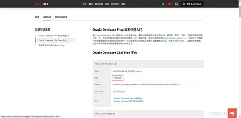 Windows10下安装 Oracle Database 23ai Free 平台oracle Database 23ai Free