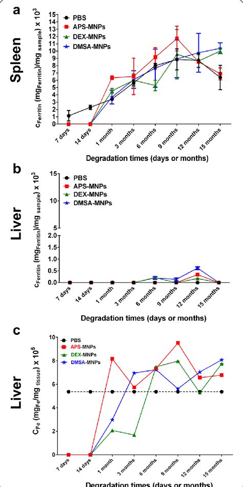 Ferritin And Paramagnetic Iron Quantification Over Time As An Indicator