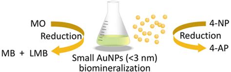 Small Au Nanoparticles Synthesized By Peptide Based Biomineralization For Catalytic Applications