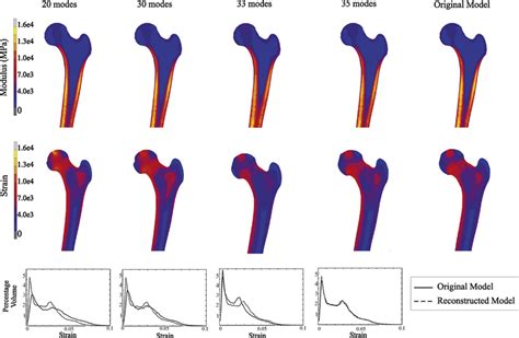 Plot Of Modulus Top And Strain Middle Distribution In A Section