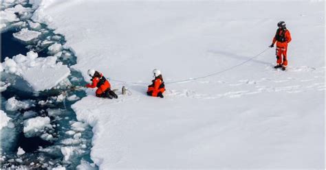 북극 빙하 조류 미세 플라스틱 10배… 먹이사슬 타고 퍼져