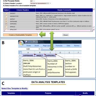 Build Or Modify A Template From Components Of An Existing Template A Download Scientific
