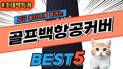 2024 지금 가장 핫한 골프백항공커버 추천 대박 가성비 베스트5 후기 비교 Youtube