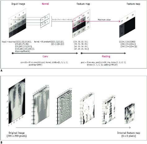 Convolution And Pooling 32 Download Scientific Diagram