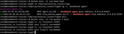 ray tasks sometimes hang in pending node assignment ray core ray