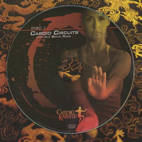 Cardio Karate Workout System Videofight