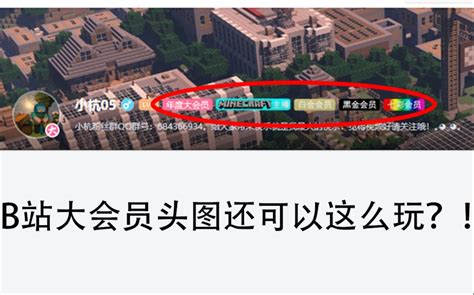 【60fps】大会员b站头图还可以这么玩？！自定义头衔？！哔哩哔哩bilibili