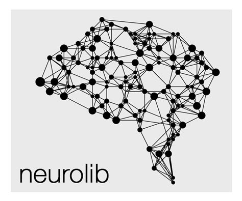 a gentle introduction to neurolib not even odd