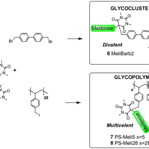 Scheme 2 Synthesis Of Melibiose Based Glycocluster 6 And Glycopolymers