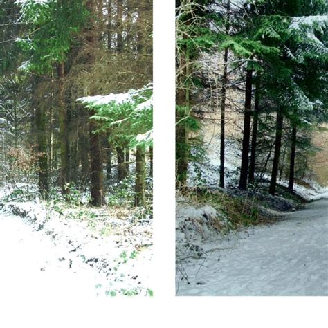 Visual Difference Between Ldr And Hdr Images A Ldr Image B Hdr Image Download Scientific