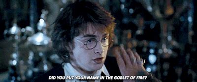 “did You Put Your Name In The Goblet Of Fire Harr Tumbex