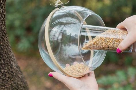 Як правильно зробити годівницю для птахів