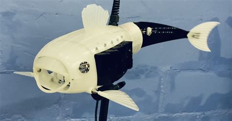 Student Wins Contest With Microplastic Filtering Fish Robot