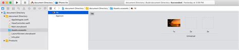 How To Store An Image From Document In Swift