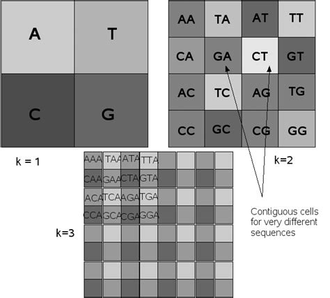 The Chaos Game Representation Cgr Space For Length Sequences Of K