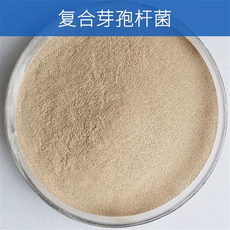 复合芽孢杆菌 高效微生态制剂，助力多领域发展 得和生物科技