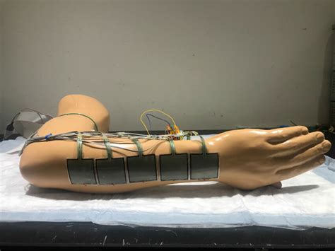 Arm Model With Force Sensing Resistors Download Scientific Diagram