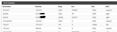 Default Gw Not Applied Netgate Forum