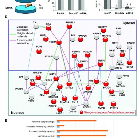 Plurinet And Mammalian Phenotype Analysis Performed On Genomic Download Scientific Diagram
