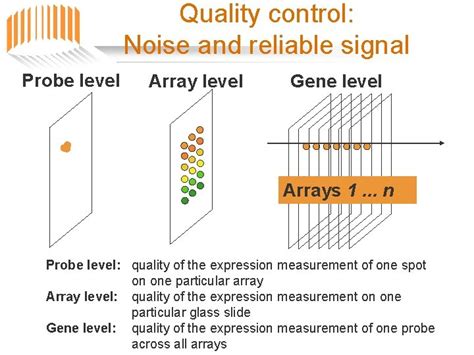 Microarray Analysis Data Preprocessing Normalization Molecular