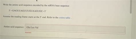 Solved Write The Sequence Of The MRNA Molecule Synthesized Chegg Com