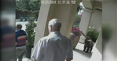 Stealth Bear Surprises Couple