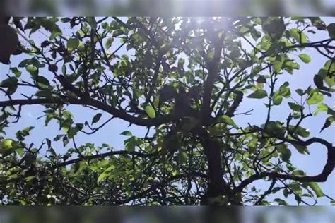 小伙好心给它吃的它居然不领情网友感叹太没良心了 好心 网友 小伙