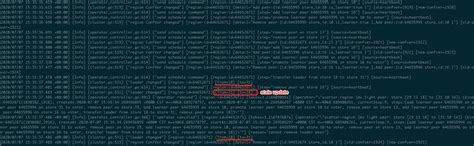 Consider Check The Term When Update The Leader · Issue 2657 · Tikv Pd · Github