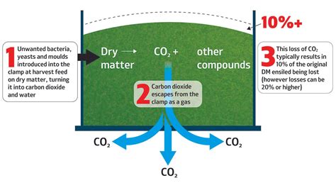 Varied Season Could Put Increased Emphasis On Good Maize Silage In Dairy Rations — Cut To Clamp
