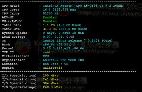 Raksmart新加坡裸机云服务器精品网线路综合测评 Raksmart美国服务器评测