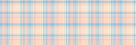 American Vertical Texture Rectangle Pattern Vector Image