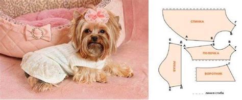 одежка для собачки Собаки Собачки Одежда для кошек