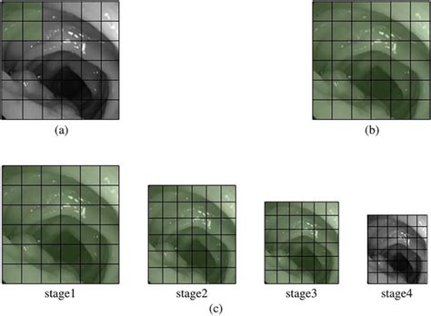The Three Operations Aggregate Information Within A Specific Field Download Scientific Diagram