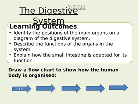 Aqa Combined Science Trilogy Biology Gcse Topic 2 B3 B4 Organisation Teaching Resources