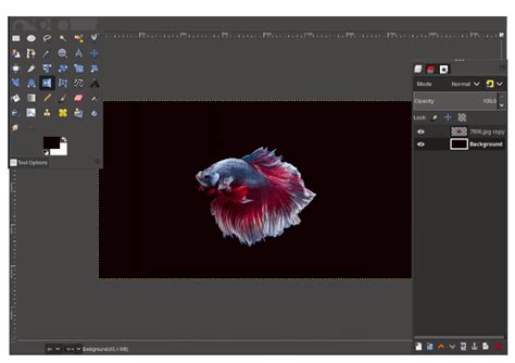 How To Create Website Ui Design In Gimp Zakey Design