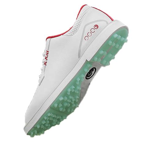 Sf53562911c684b13a4acd3b59e257d00b