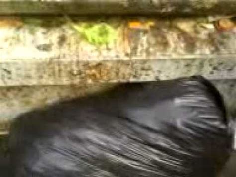 Stinky Diapers Compacted Youtube