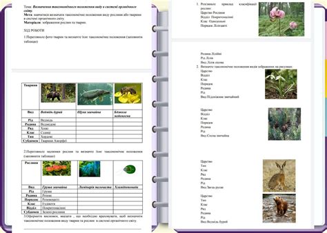 Лабораторна робота №1 Тема Визначення таксономічного положення виду в