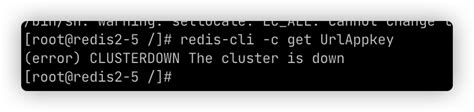 Redis Error Clusterdown The Cluster Is Down Adahakka 博客园
