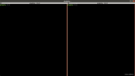 Ubuntu安装 X Terminal Emulator的方法 Csdn博客