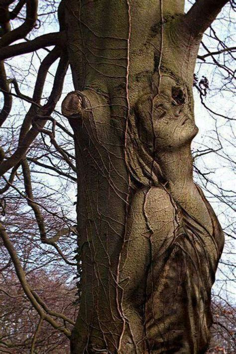 276 Best Images About Wood Carving Art On Pinterest Artist Portfolio Wood Carving Art And