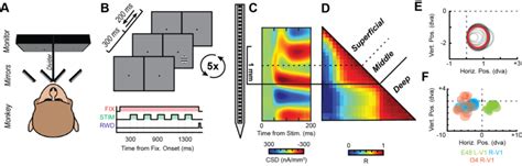 Experimental Setup And Cortical Laminar Alignment Of Linear
